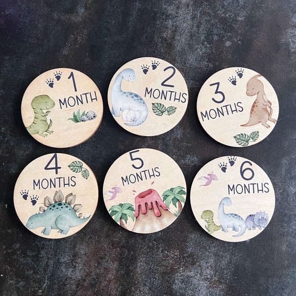 Other | Dinosaur Milestone Cards Baby Milestone Dinosaur Discs Marker ...